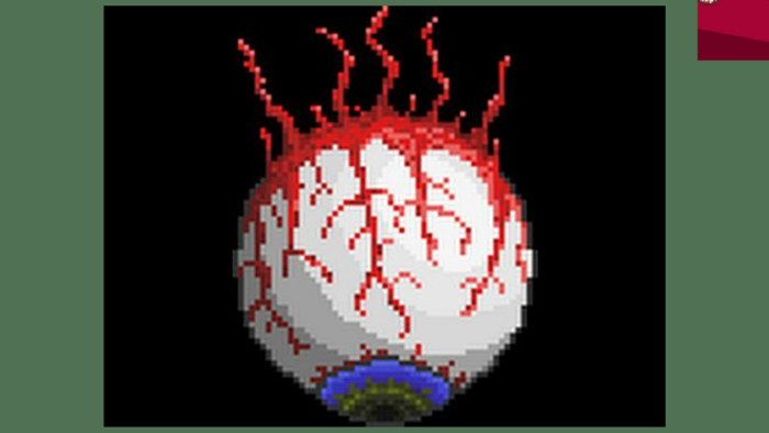 terraria template by gram sellman on Prezi