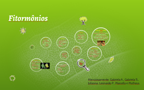 Fitormônios by Julianna Motta on Prezi