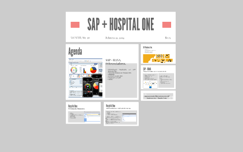 SAP + HOSPITAL ONE by on Prezi