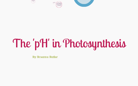 The 'pH' in Photosynthesis by Hunter Rawr on Prezi