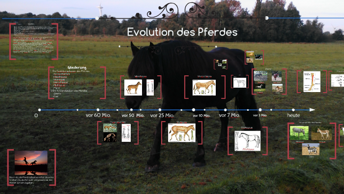 Evolution des Pferdes by Cassy H. on Prezi