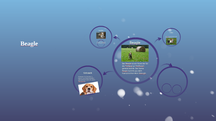 Beagle by on Prezi