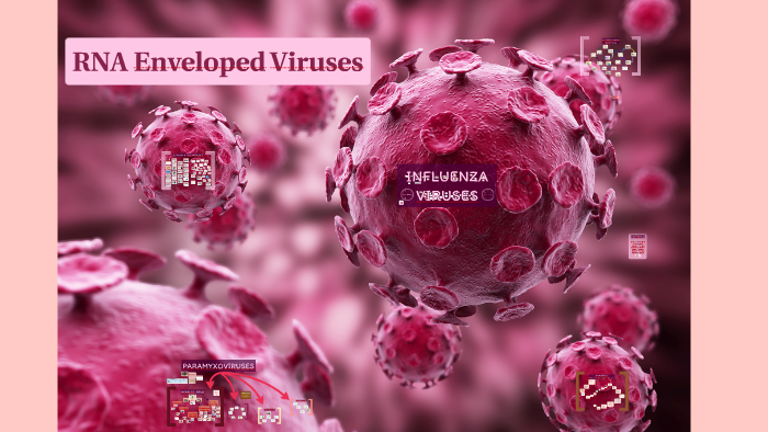 RNA Enveloped Viruses by Yasmeen Yahya on Prezi