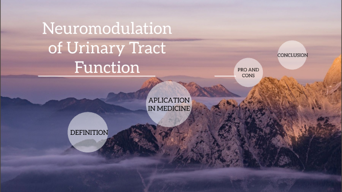 Neuromodulation of Urinary Tract Function by Genesis Asqui on Prezi