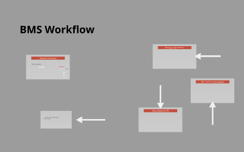 BMS Workflow by Doreen Flint on Prezi