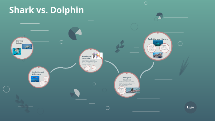 Shark vs. Dolphin by Joan Shavel on Prezi