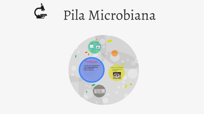 Pila Microbiana by Alejandro Álvarez on Prezi