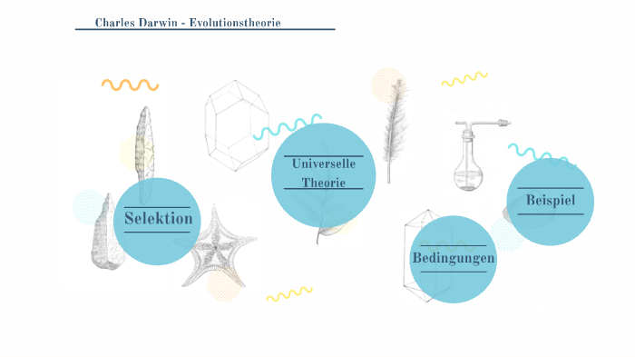 Charles Darwin - Evolutionstheorie by tim lachmann on Prezi