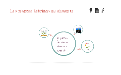 Las plantas fabrican su alimento by