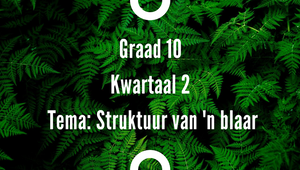 Struktuur van 'n blaar by Izanel Joubert on Prezi Design