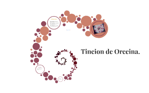 Tincion de Orceina. by jose muñoz on Prezi
