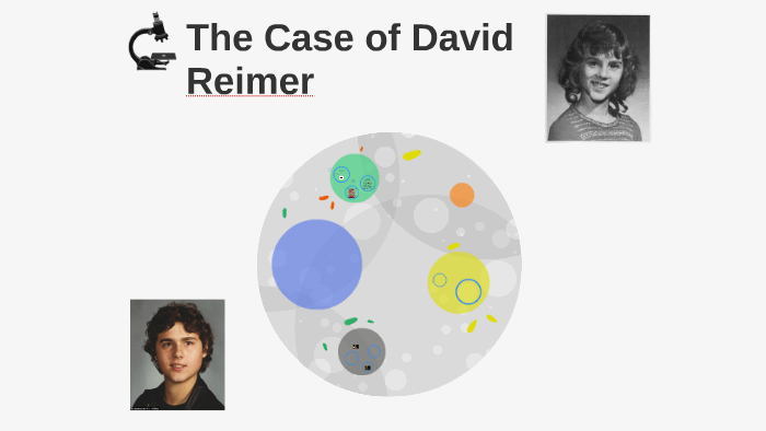 The Case of David Reimer by Alexis Knighten on Prezi