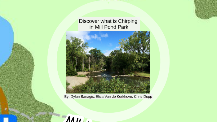 Self Guided Trail by Christopher Dopp