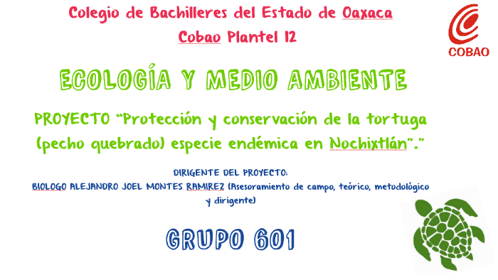 Colegio De Bachilleres Del Estado De Oaxaca By Raul Lopez Hernandez