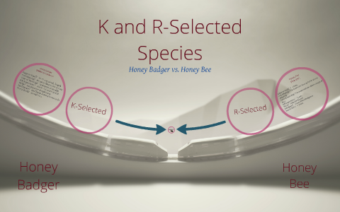 K and R-Selected Species by Dylan Irwin on Prezi