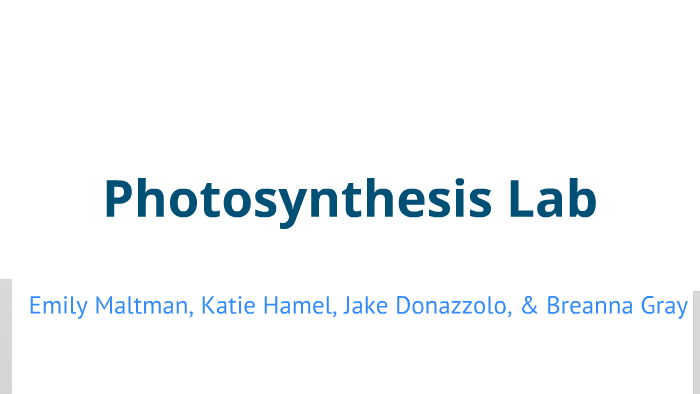 AP BIO Mini-Poster by Emily Maltman