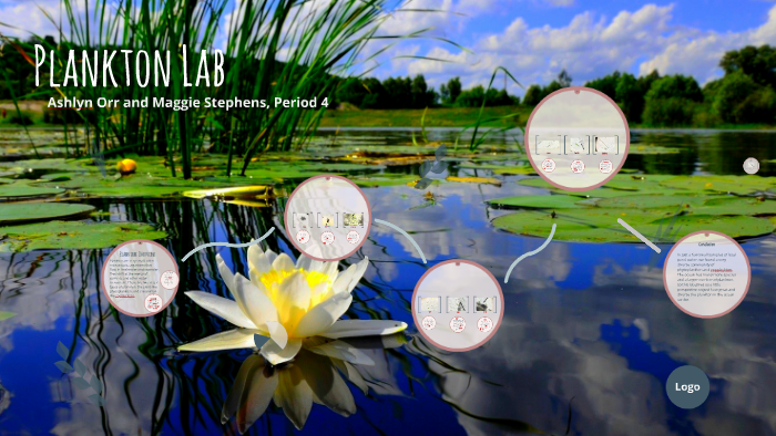 Plankton Lab by on Prezi