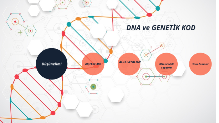 dna by dna genetik on Prezi