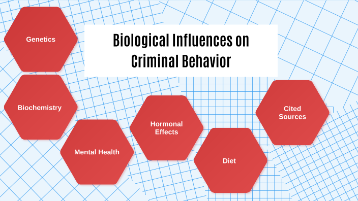 Biological Influences on Criminal Behavior by Tayler McAndrew on Prezi