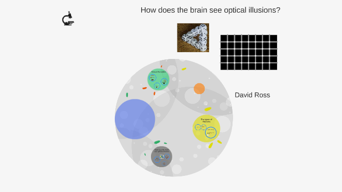 How does the brain see optical illusions by