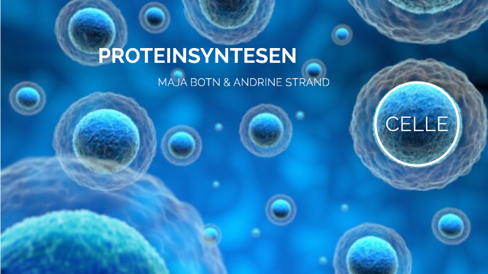 Animasjon; proteinsyntesen by Maja Botn on Prezi