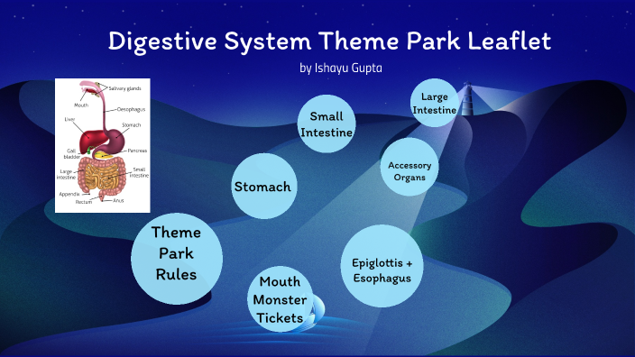 Digestive System Theme Park Leaflet - Ishayu Gupta by Ishayu Gupta on Prezi