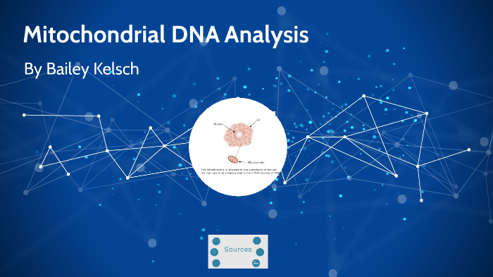 Mitochondrial DNA Analysis by Bailey Kelsch on Prezi