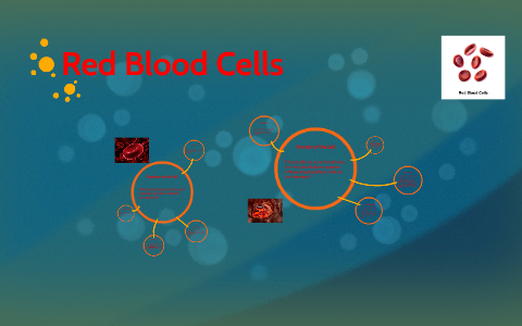 Red Blood Cells by on Prezi