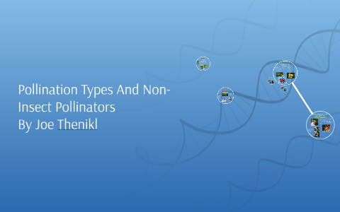 Pollination Types And Non-Insect Pollinators by Joe Thenikl on Prezi