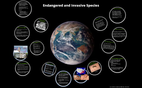 Endangered and Invasive Species by Daria C on Prezi