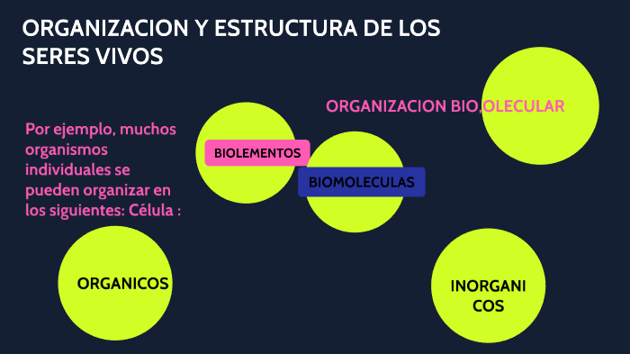 ORGANIZACION Y ESTRUCTURA DE LOS SERES VIVOS by rosa corina mamani ...