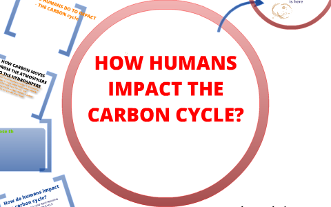 HOW HUMANS IMPACT THE CARBON CYCLE by nicholas essex on Prezi