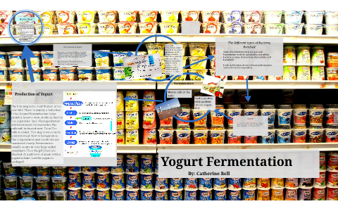 Yogurt Fermentation by Catherine Bell on Prezi