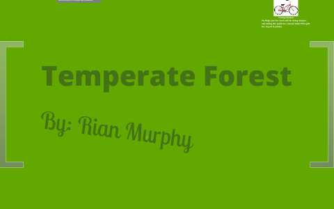 Temperate Forest by Rian Murphy on Prezi