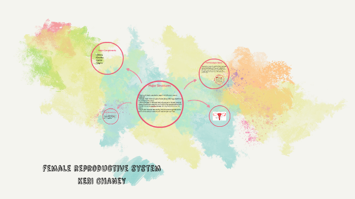 humAN ANATOMY by Keri Chaney on Prezi