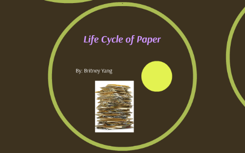 Life Cycle of Paper by Lee Yang on Prezi