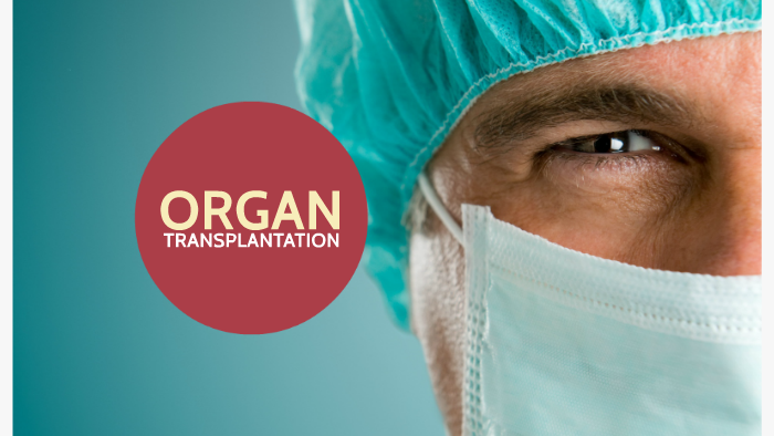 Organtransplantation by Alessio T on Prezi