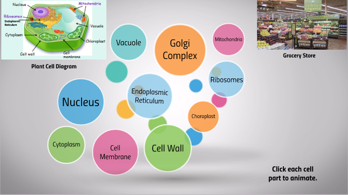 Plant Cell Analogy Project by Ethan Acito on Prezi