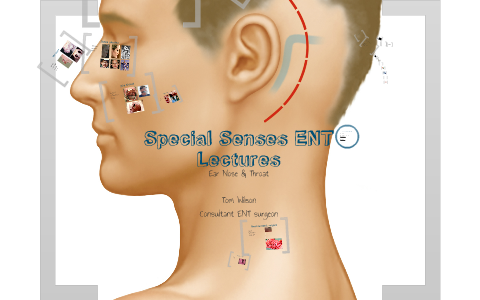 ENT Introduction by Tom Wilson