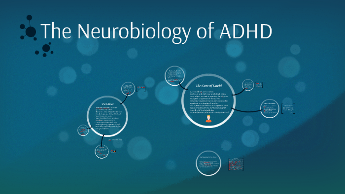 The Neurobiology of ADHD by Anna Marie on Prezi