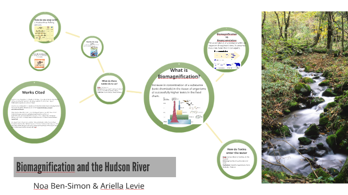 Biomagnification and the Hudson River by Ariella Levie on Prezi