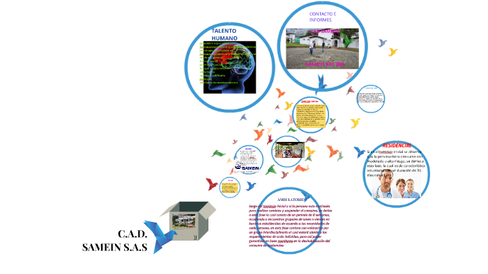 C.A.D. samein by on Prezi