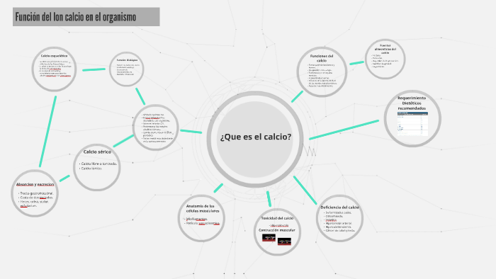 Funcion del Ion calcio en el organismo by gabriela millar on Prezi