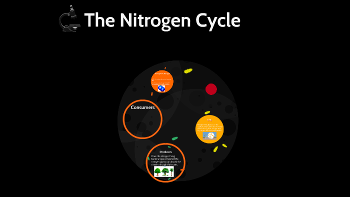 The Nitrogen Cycle by keyana morris on Prezi