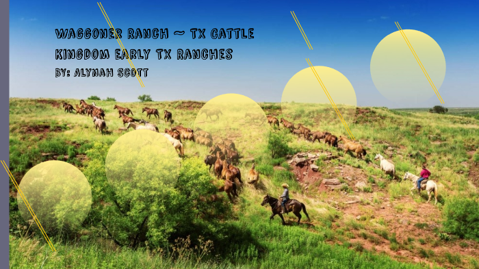 Tx Cattle Kingdom Early Tx Ranches by Alynah Scott on Prezi