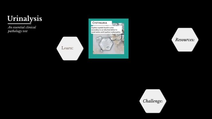 Urinalysis by Sarah Dasher on Prezi