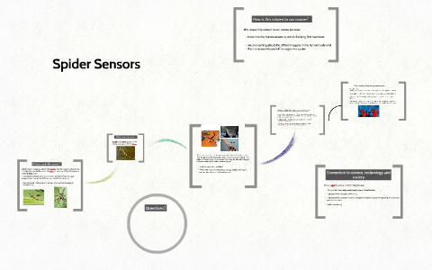 Spider Sensors by michelle mir on Prezi