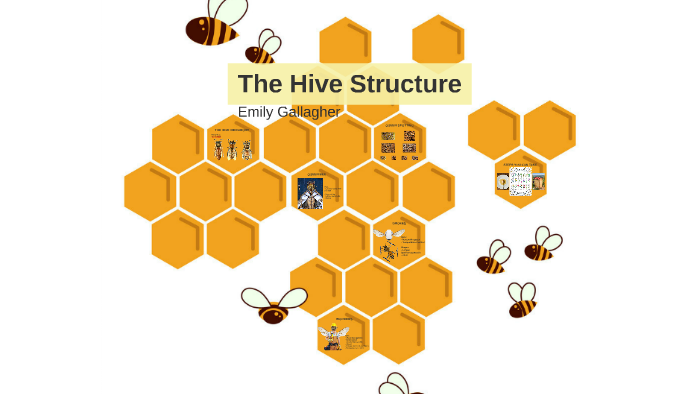 The Hive Structure by Emily Gallagher on Prezi