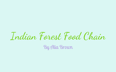 Indian Forest Food Chain by Alia Brown on Prezi