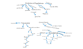 Evolution Concept Map by Ashley Flexhaug on Prezi